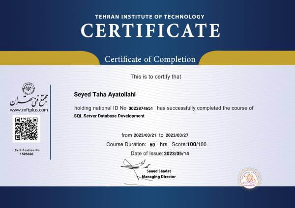 Seyed Taha Ayatollahi|سید طه آیت اللهی